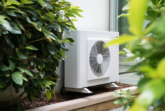 Applications | Eltwin